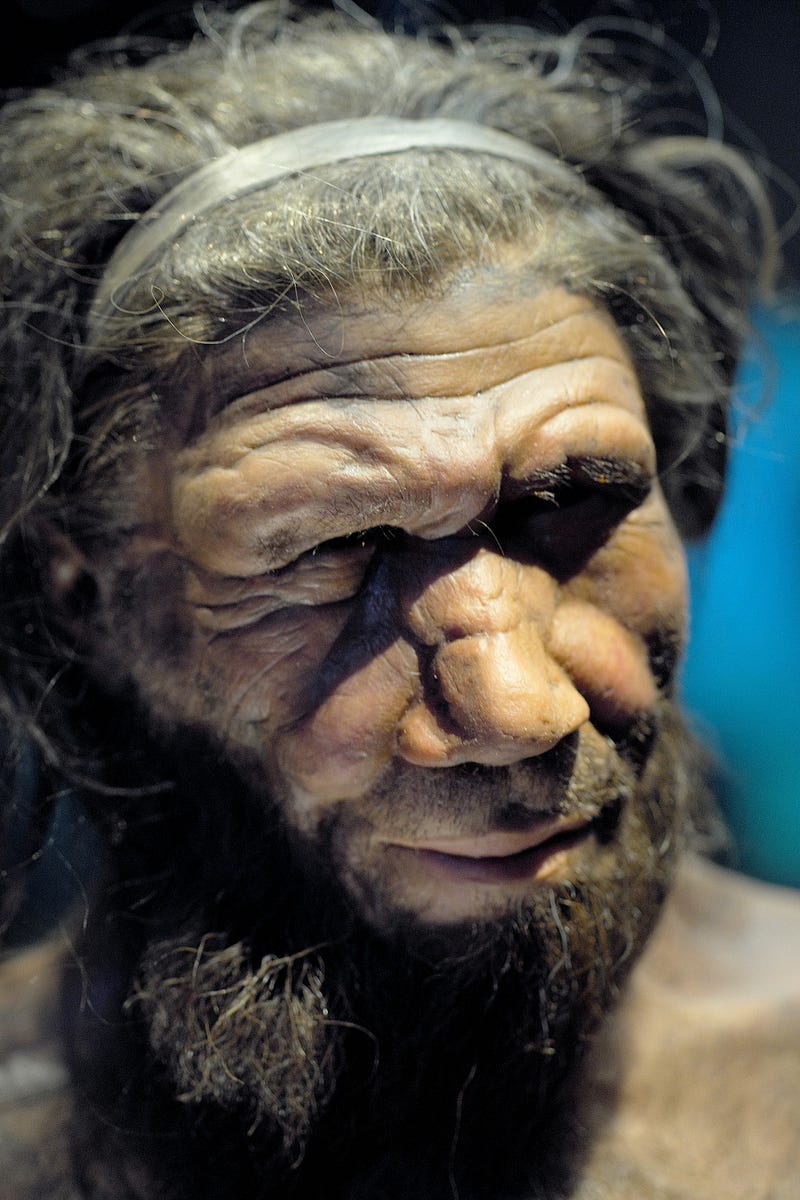 A Neanderthal Was Found with Aspirin and Penicillin 40,000 Years Before ...