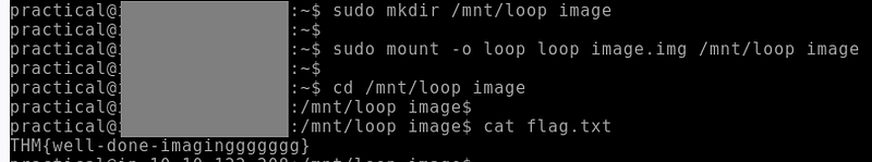 TryHackMe — Forensic Imaging — Writeup