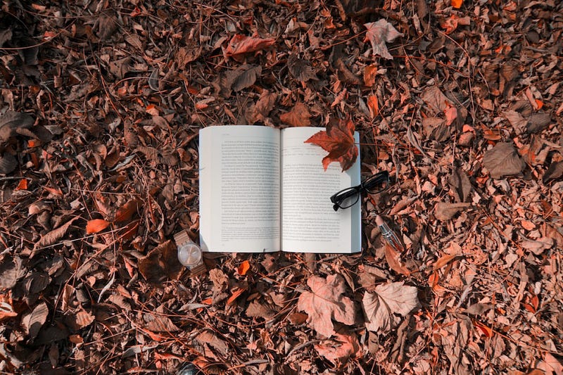 The role of literature in understanding the human condition