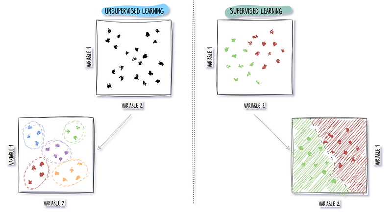 Segment Anything 3D for Point Clouds: Complete Guide (SAM 3D)