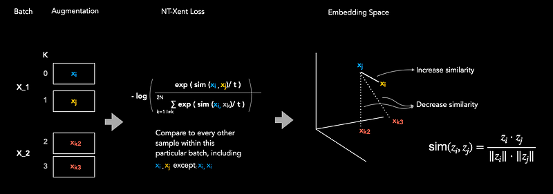 Contrastive Learning Loss: NT-Xent & InfoNCE