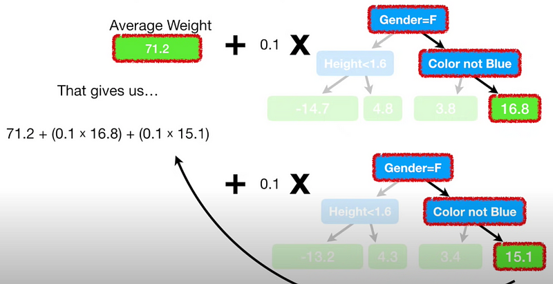 StatQuest Machine Learning Notes — Trees