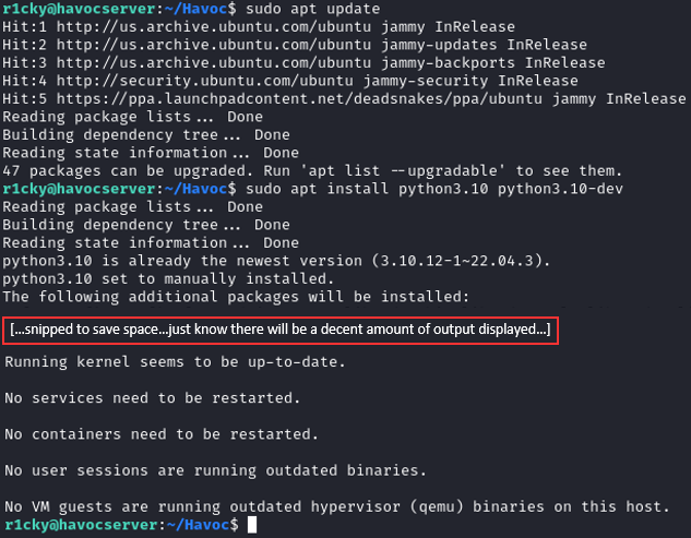Havoc C2 Framework Part 1: Installation (2024)